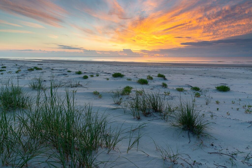 What Is Holistic Health Coaching? (And Why It Might Be Exactly What You ...